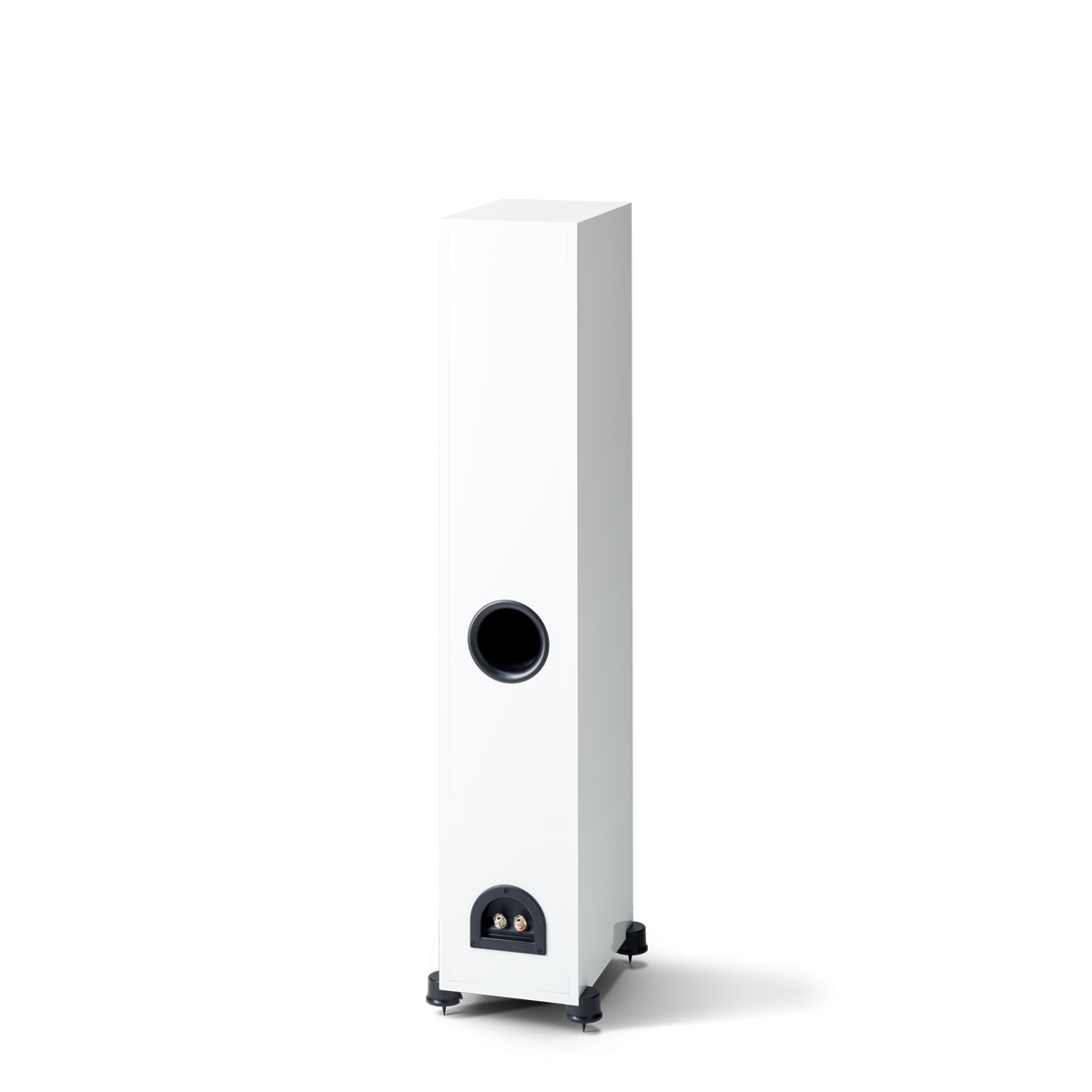 Paradigm® | Monitor SE 3000F