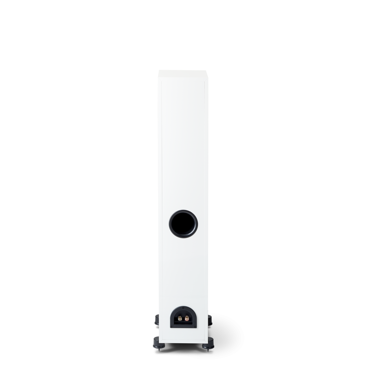 Paradigm® | Monitor SE 3000F