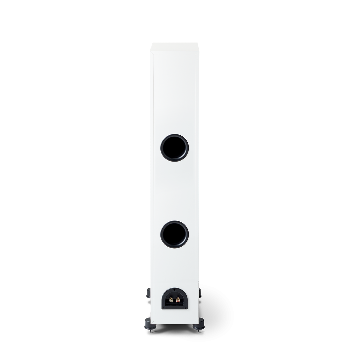 Paradigm® | Monitor SE 6000F