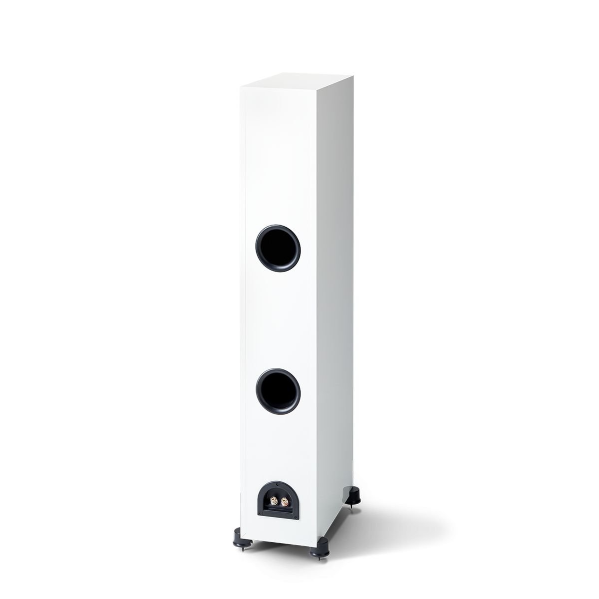 Paradigm® | Monitor SE 6000F