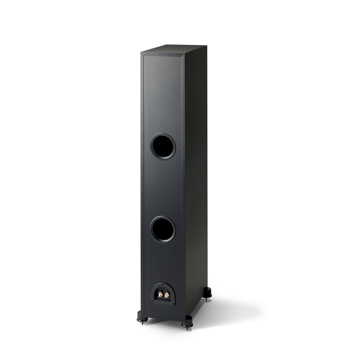 Paradigm® | Monitor SE 6000F